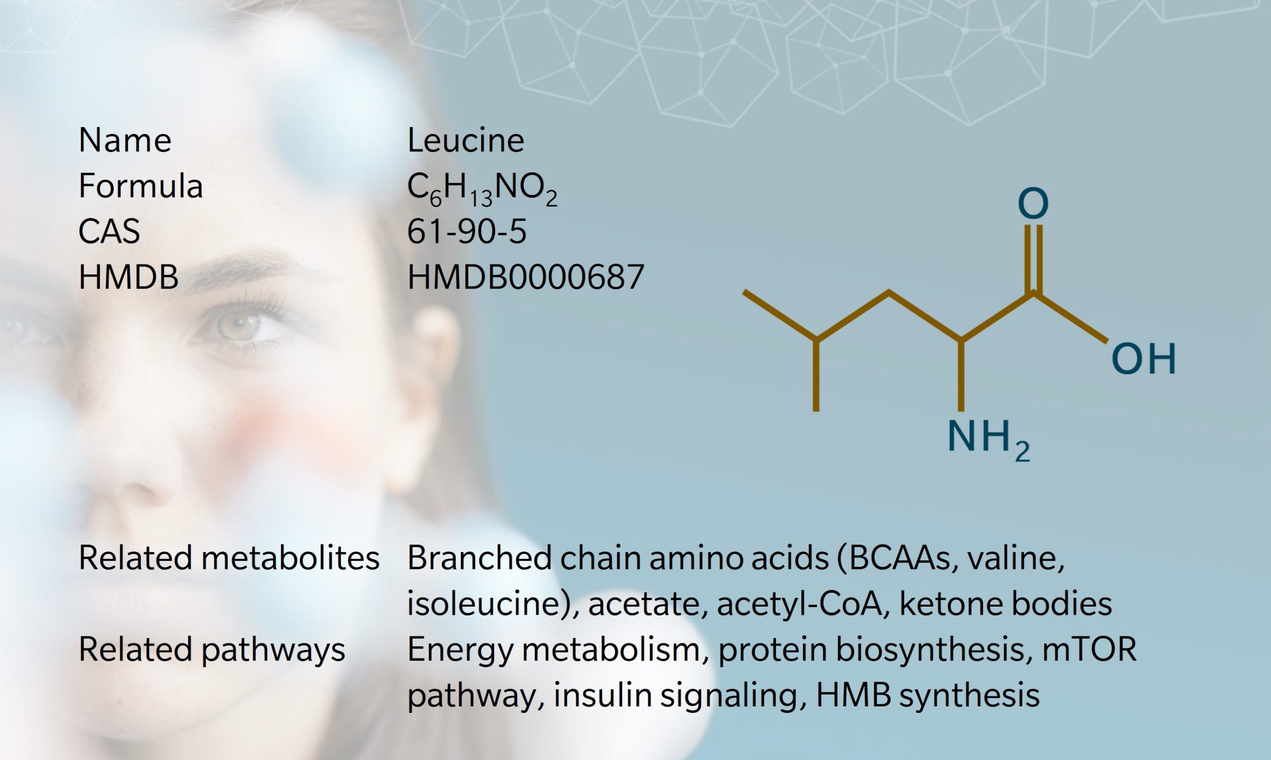 Leucine Metabolite Of The Month Biocrates Life Sciences Ag