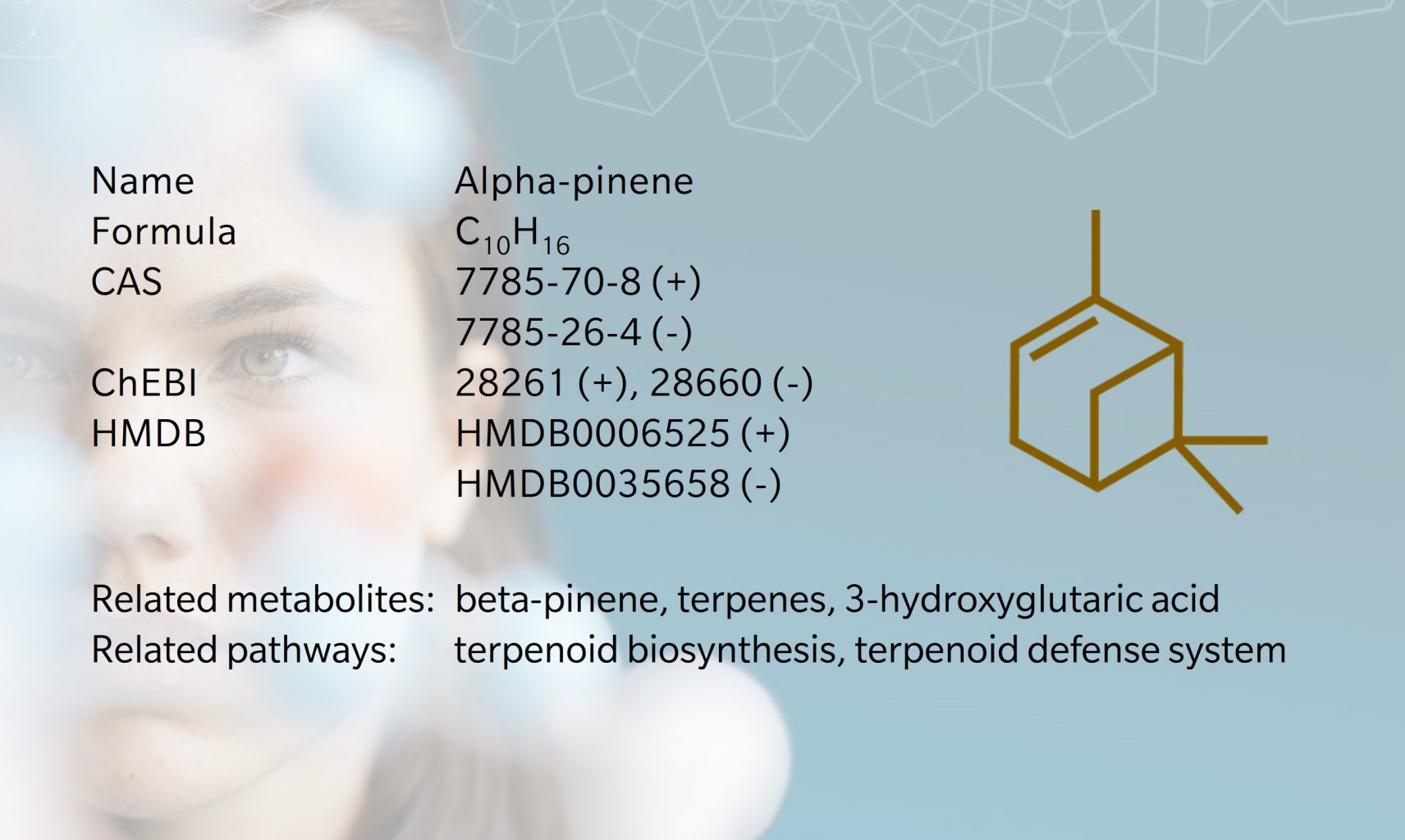 Alpha-pinene - The terpene with powerful anti-inflammatory and ...