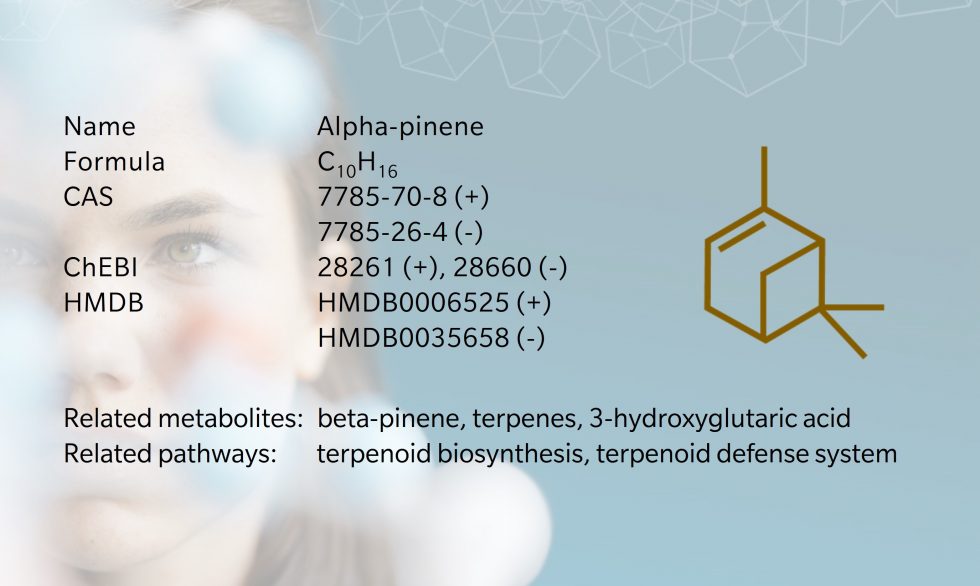 Alpha-pinene - The terpene with powerful anti-inflammatory and ...