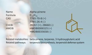 Alpha-pinene - The terpene with powerful anti-inflammatory and ...
